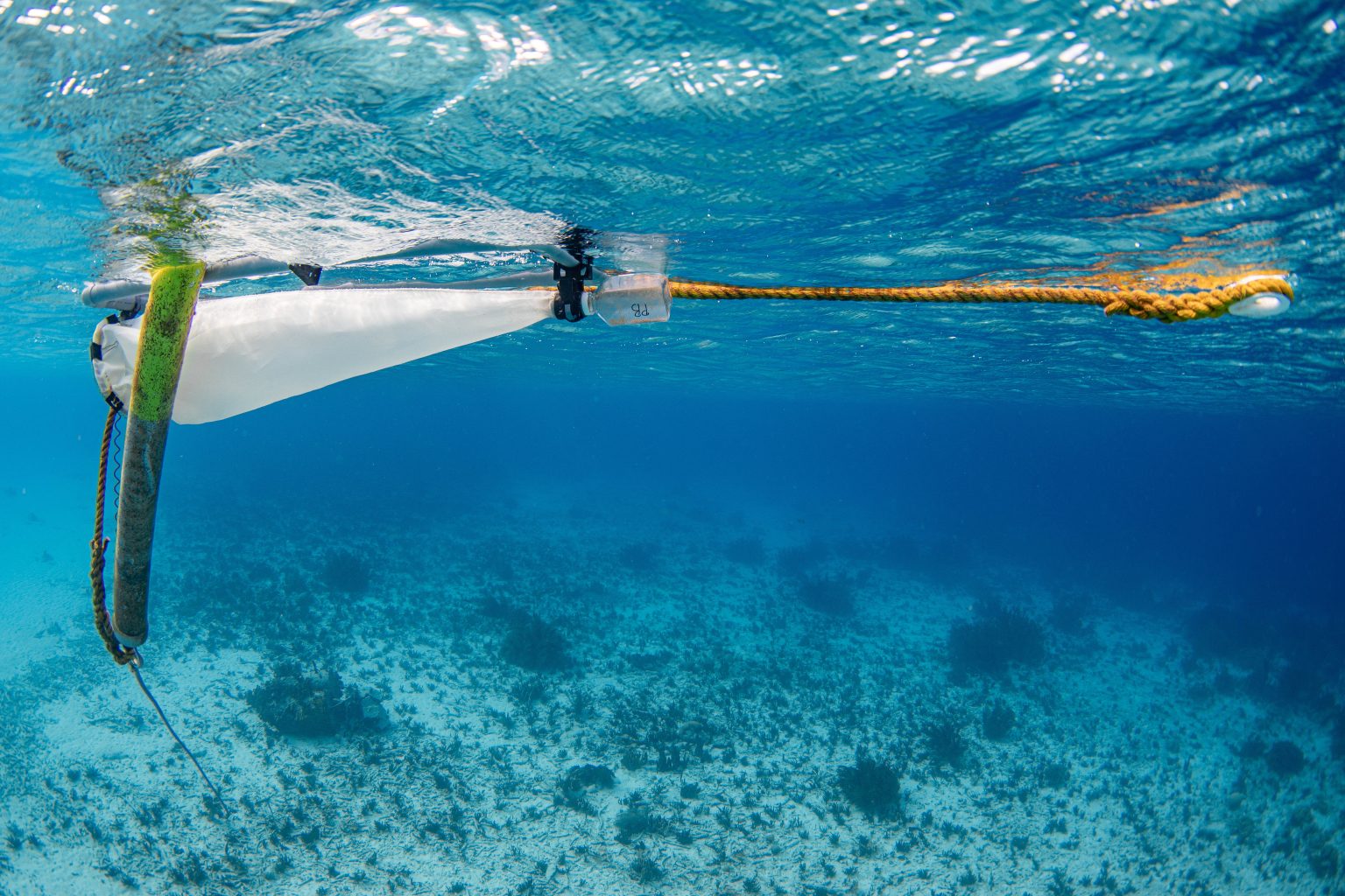 Bonaire pilot - Roffa Reefs