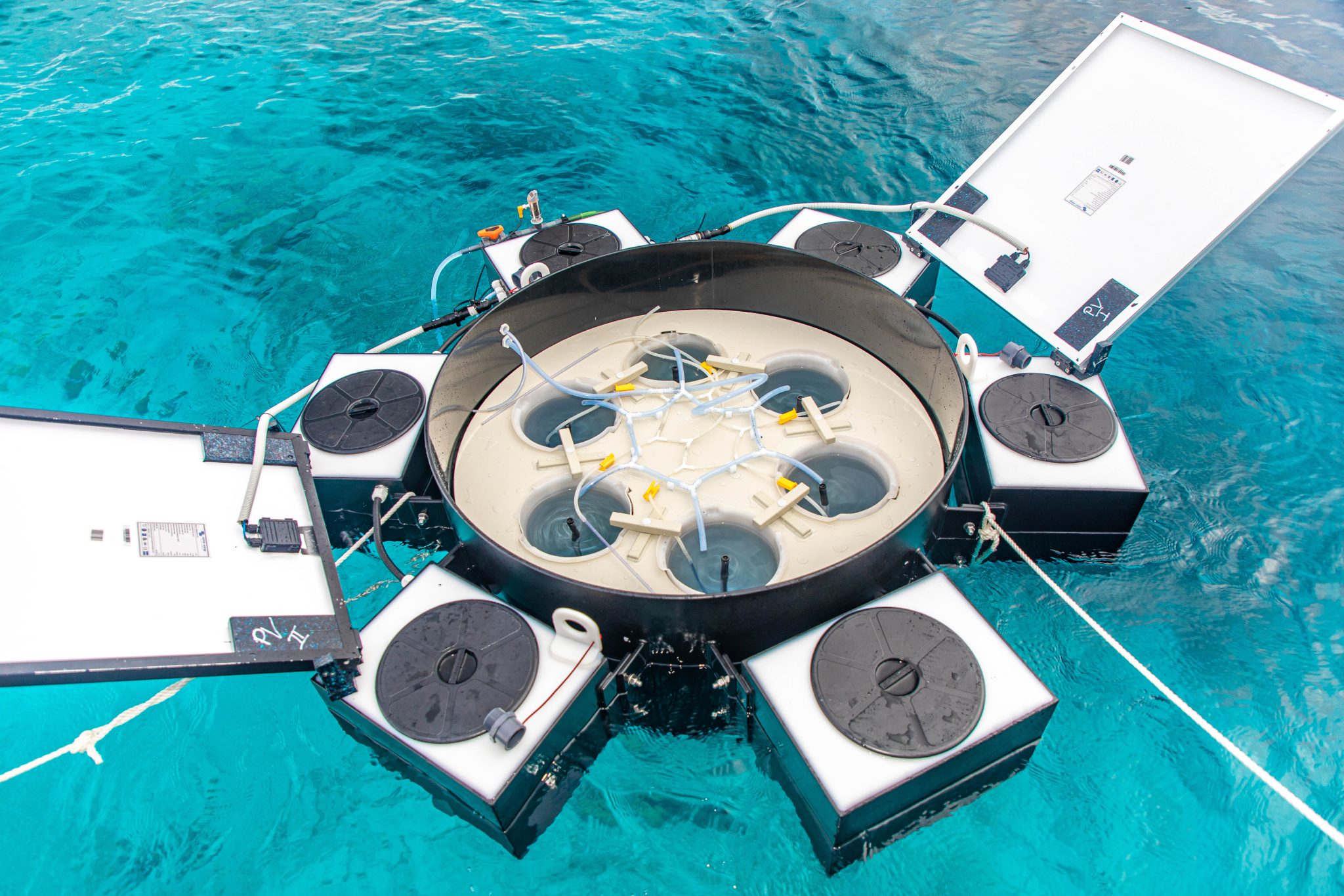 Bonaire pilot - Roffa Reefs